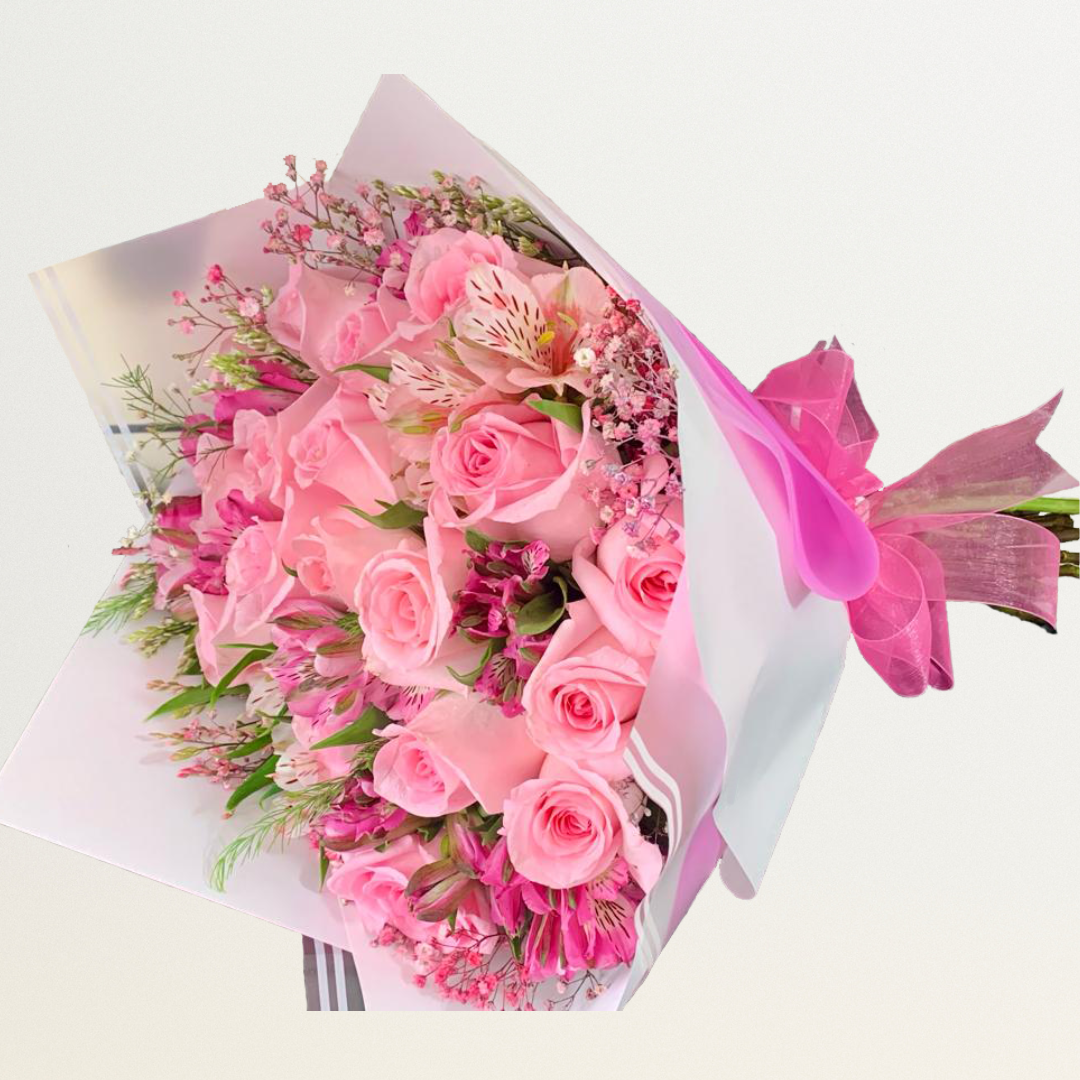 Candy Rose – Pink Rose